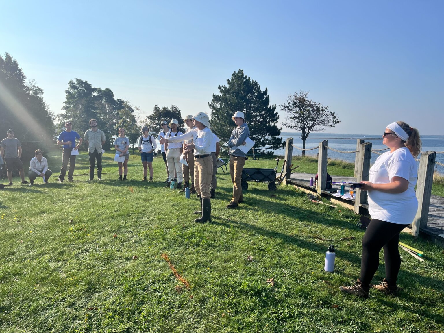Blending Living Shorelines with Bank Swallow Habitat - Atlantic Nature