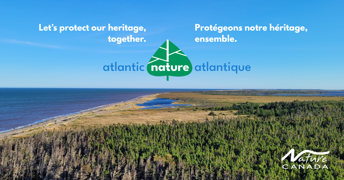 Conserving and Protecting Nature in the Atlantic Provinces - Atlantic ...